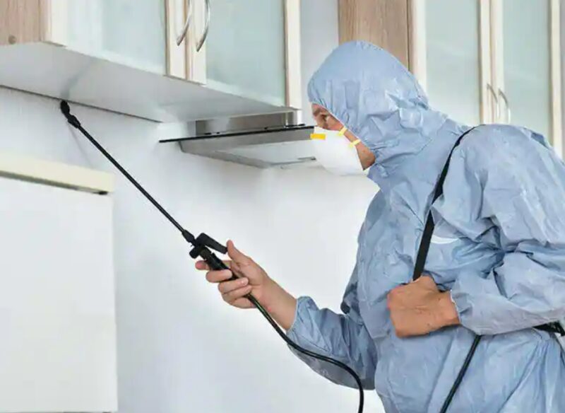 Pest Control Pasadena TX – The Pest Bros