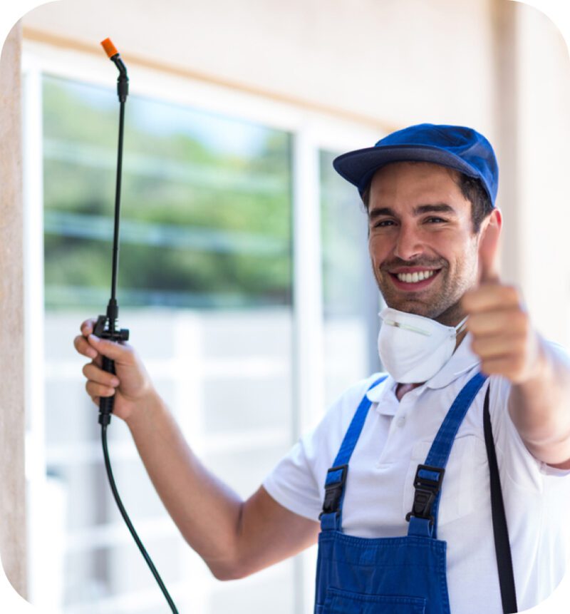 Pest Control Sugar Land TX - The Pest Bros