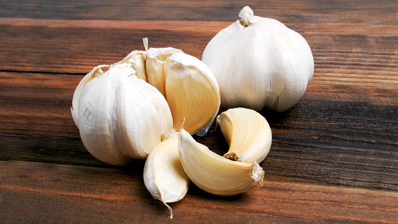 5 Best Ways to Remove Spiders | Pest Bros Pest Control