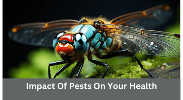 Impact of pests on your health | Lear More The Pest Bros